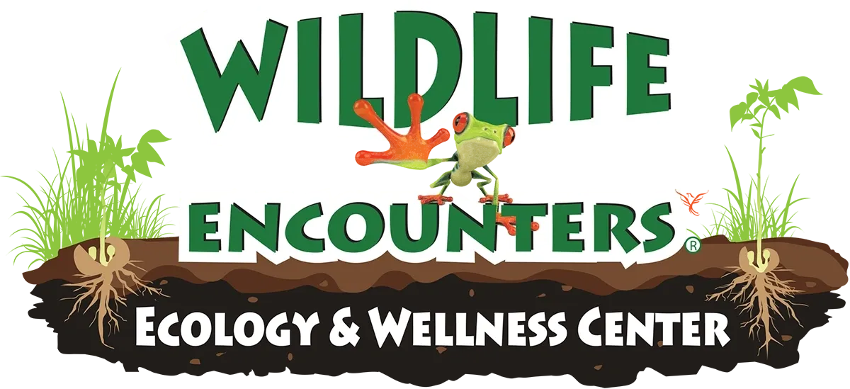 SRP Kick-off: Wildlife Encounters – Blaisdell Memorial Library